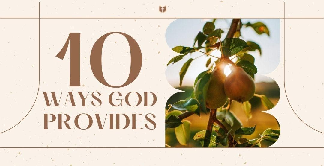 10 Ways God Provides - Bible Reading Plan - Life Bible