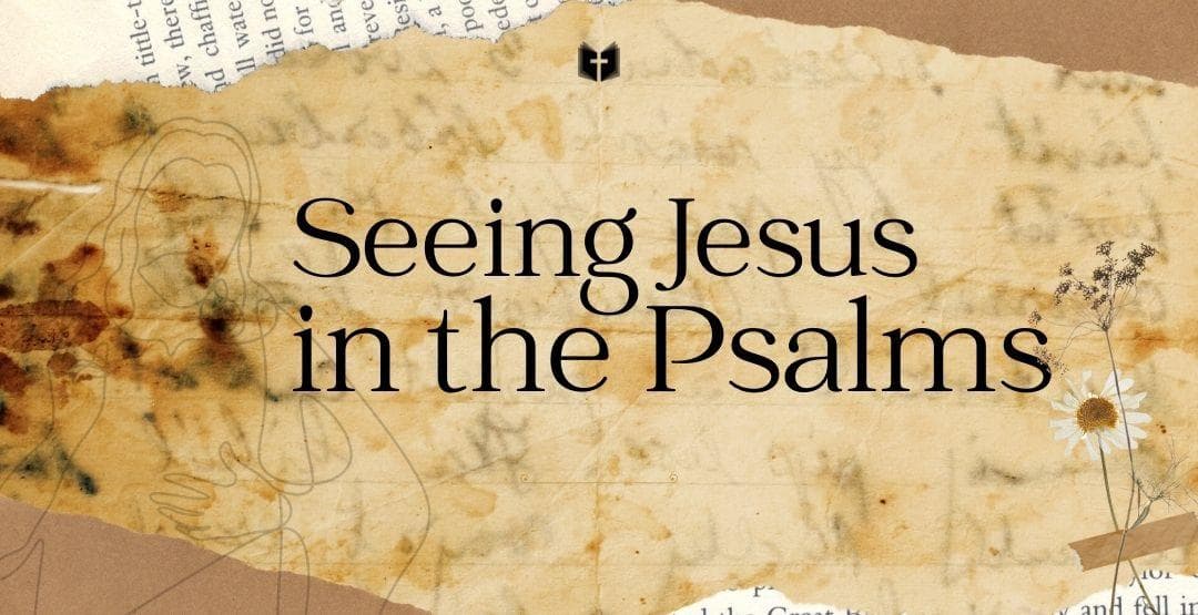 Seeing Jesus in the Psalms - Bible Reading Plan - Life Bible