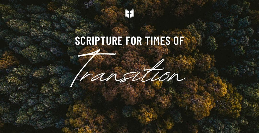 Scripture For Times of Transition - Bible Reading Plan - Life Bible