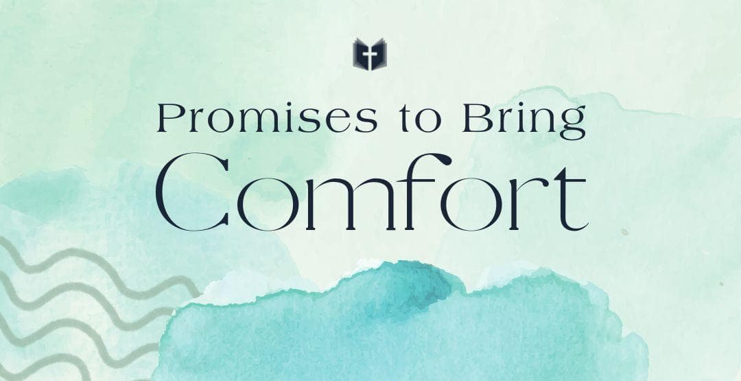 Promises to Bring Comfort - Devotional Reading Plan - Life Bible