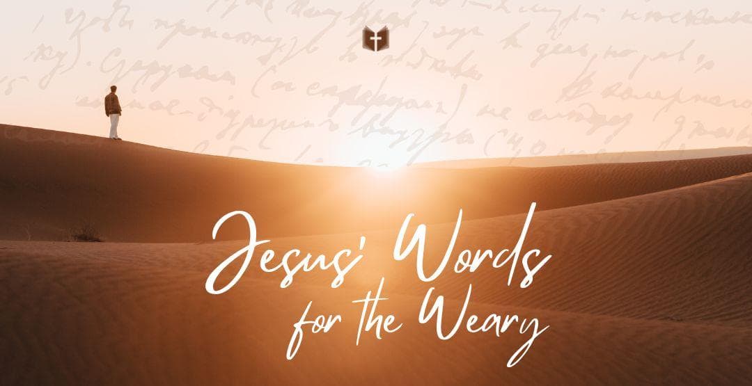 Jesus' Words for the Weary - Bible Reading Plan - Life Bible