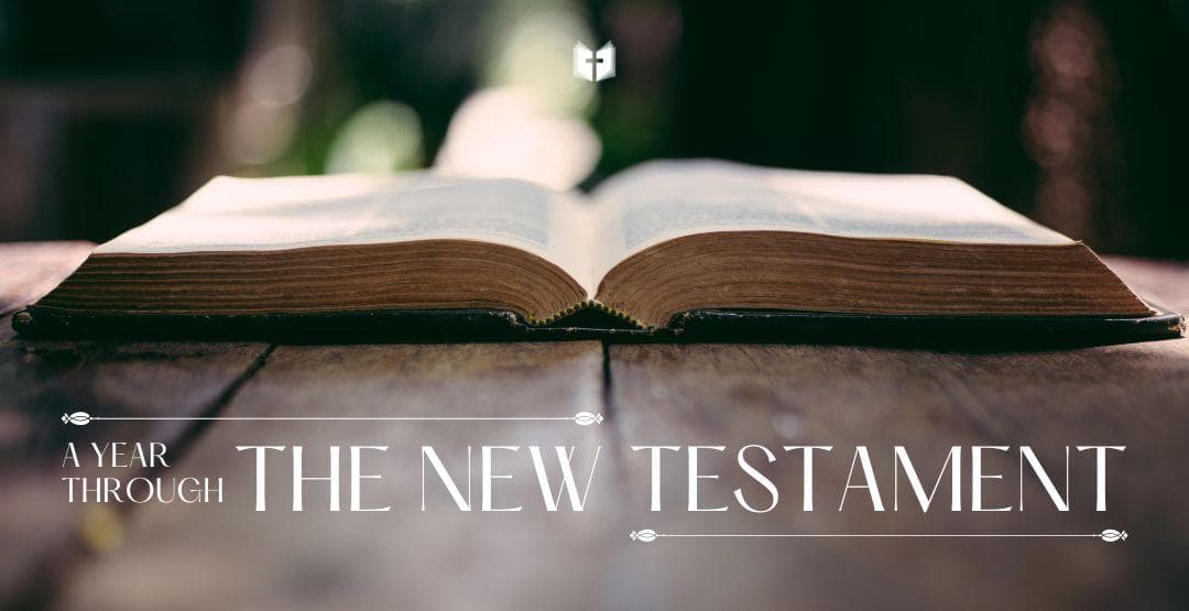 A Year through the New Testament - Bible Reading Plan - Life Bible