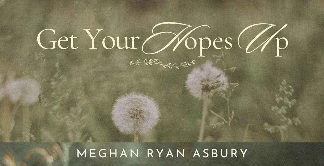 Get Your Hopes Up Devotional Reading Plan Life Bible get-your-hopes-up-devotional-reading-plan-life-bible